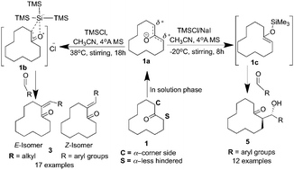 Temperature-controlled Mukaiyama aldol reaction of cyclododecanone (CDD ...