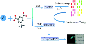 Cadmium metal–organic frameworks: Ln3+ ion functionalized assembly ...