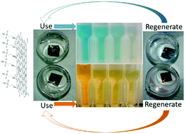 Cationic and anionic azo-dye removal from water by sulfonated graphene ...