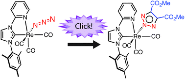 Photophysical and photochemical studies of tricarbonyl rhenium(i) N ...