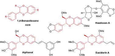 Synthesis and biology of 1,4-benzodioxane lignan natural products ...
