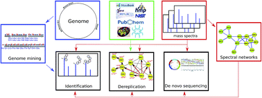 Dereplication, sequencing and identification of peptidic natural ...