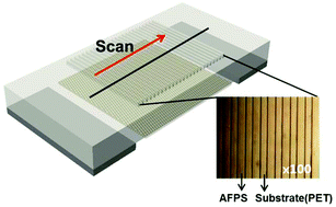 A highly sensitive pressure sensor using a double-layered graphene structure for tactile sensing ...
