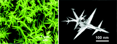 Facile synthesis of three-dimensional Pt–Pd alloyed multipods with ...