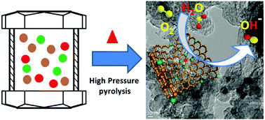 High pressure pyrolyzed non-precious metal oxygen reduction catalysts ...