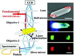 Self-assembled organic hexagonal micro-prisms with high second harmonic ...