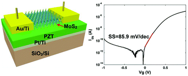 Low voltage and high ON/OFF ratio field-effect transistors based on CVD ...
