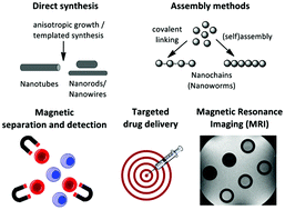 Shape matters: synthesis and biomedical applications of high aspect ...