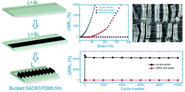 Ultra-stretchable conductors based on buckled super-aligned carbon ...