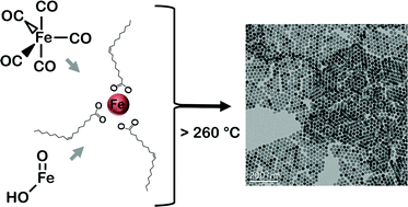 Synthesis of phase-pure and monodisperse iron oxide nanoparticles by ...