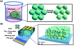 The tailored inner space of TiO2 electrodes via a 30 second wet etching ...