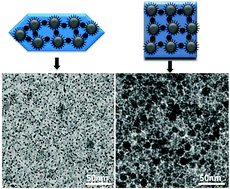 Stepwise assembly of a cross-linked free-standing nanoparticle sheet ...