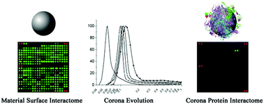 Characterization of the bionano interface and mapping extrinsic ...