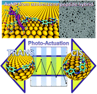 Triggering nanoparticle surface ligand rearrangement via external ...