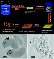 Self-propelled micromotors based on Au–mesoporous silica nanorods ...