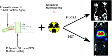 Chelator free gallium-68 radiolabelling of silica coated iron oxide ...