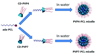 Drug-loaded pseudo-block copolymer micelles with a multi-armed star ...