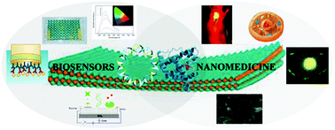 Graphene-like two-dimensional layered nanomaterials: applications in ...