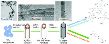 Synthesis of rare earth doped TiO2 nanorods as photocatalysts for ...