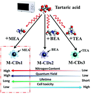 Hydrophilic and blue fluorescent N-doped carbon dots from tartaric acid ...