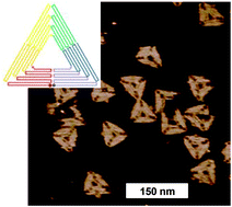 An easy-to-prepare mini-scaffold for DNA origami - Nanoscale (RSC ...