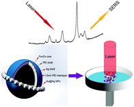 Polyethylenimine-interlayered core–shell–satellite 3D magnetic ...