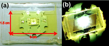 A high quality liquid-type quantum dot white light-emitting diode ...