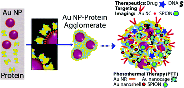 Nanoparticle Agglomeration
