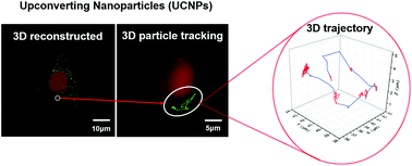 Fast and background-free three-dimensional (3D) live-cell imaging with ...