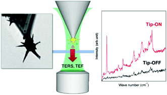 Nanostar probes for tip-enhanced spectroscopy - Nanoscale (RSC Publishing)