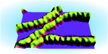 High resolution atomic force microscopy of double-stranded RNA ...