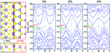 Predicting a new phase (T′′) of two-dimensional transition metal di ...