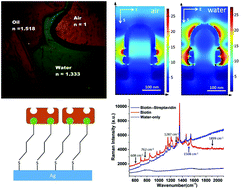Large-area, uniform and low-cost dual-mode plasmonic naked-eye ...