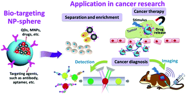 Fluorescent/magnetic micro/nano-spheres based on quantum dots and/or ...