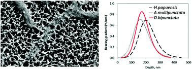 The nature of inherent bactericidal activity: insights from the ...