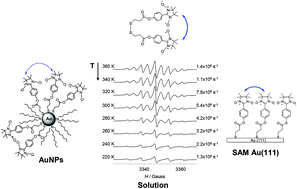 Dynamics of intramolecular spin exchange interaction of a nitronyl ...