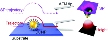 Kelvin probe force microscopy of DNA-capped nanoparticles for single ...