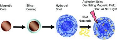 Multi-responsive hybrid particles: thermo-, pH-, photo-, and magneto ...