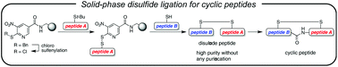 3-Nitro-2-pyridinesulfenyl-mediated solid-phase disulfide ligation in ...