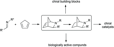 2-Azanorbornane – a versatile chiral aza-Diels–Alder cycloadduct ...
