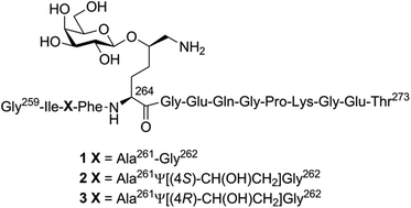 Hydroxyethylene isosteres introduced in type II collagen fragments ...