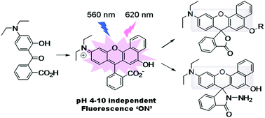 Molecular design and synthesis of a pH independent and cell permeant ...