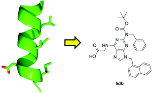Towards more drug-like proteomimetics: two-faced, synthetic α-helix ...