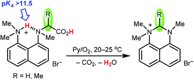 The first proton sponge-based amino acids: synthesis, acid–base ...
