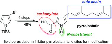 Short and highly efficient synthesis of lipid peroxidation inhibitor ...
