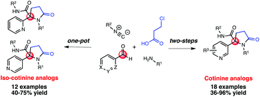 An efficient microwave-assisted synthesis of cotinine and iso-cotinine ...