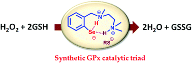 Introduction of a catalytic triad increases the glutathione peroxidase ...