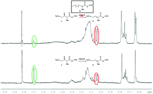 A study on the AMACR catalysed elimination reaction and its application ...