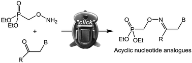 Versatile synthesis of oxime-containing acyclic nucleoside phosphonates ...