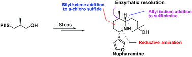 Stereoselective total synthesis of (−)-nupharamine utilizing an α ...
